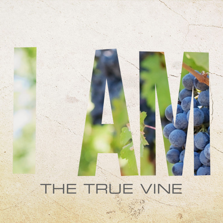 I Am the True Vine | Hope Baptist Church